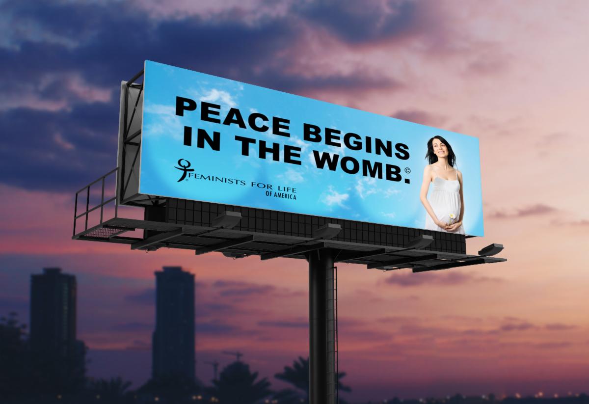 ENVISION A PRO-WOMAN, PRO-LIFE NATION! - Feminists for Life